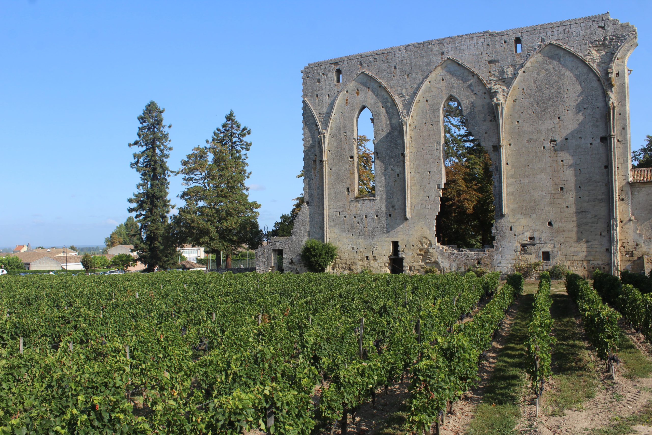 Cosa vedere e dove mangiare a Saint Emilion - Spignattando