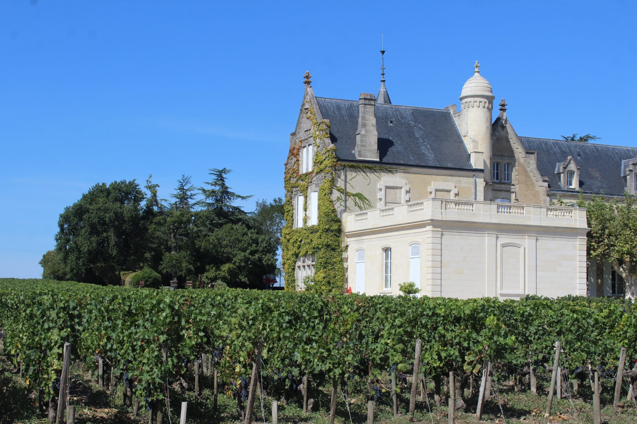 Cosa fare nel Medoc: itinerario di un giorno - Spignattando